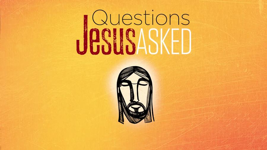 Questions Jesus Asked | Amplify Media