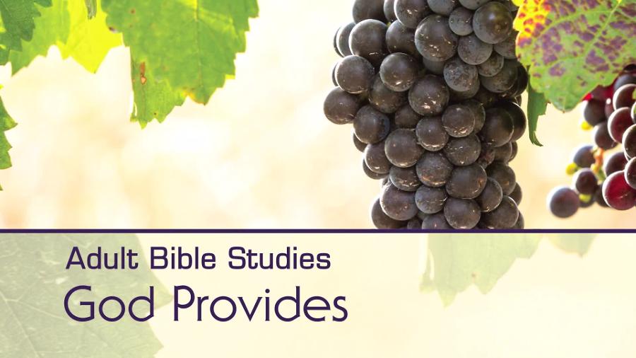 Adult Bible Studies Fall 2023 Amplify Media