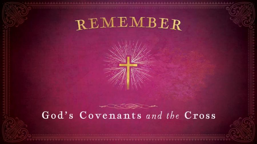 Remember Preview | Amplify Media