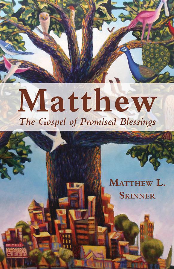 Matthew | Amplify Media