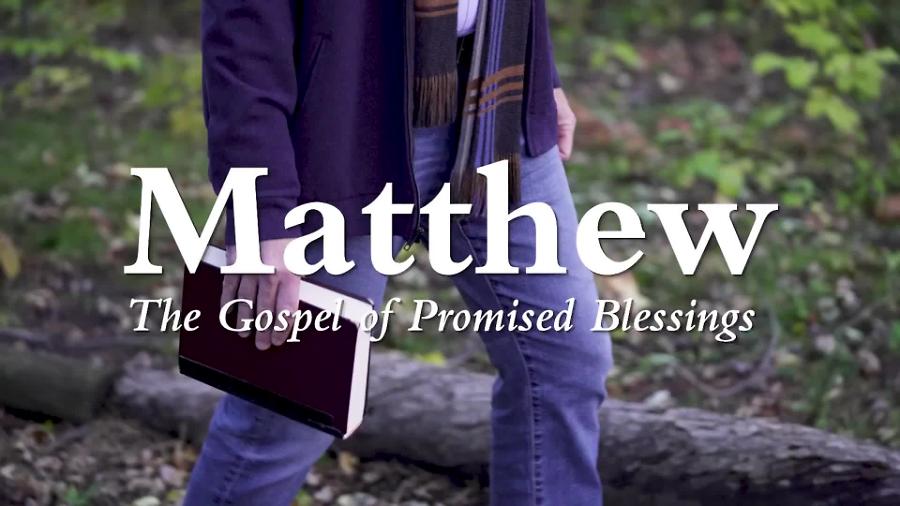 Matthew | Amplify Media