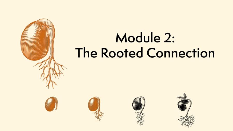 Radicle Methodism | Amplify Media