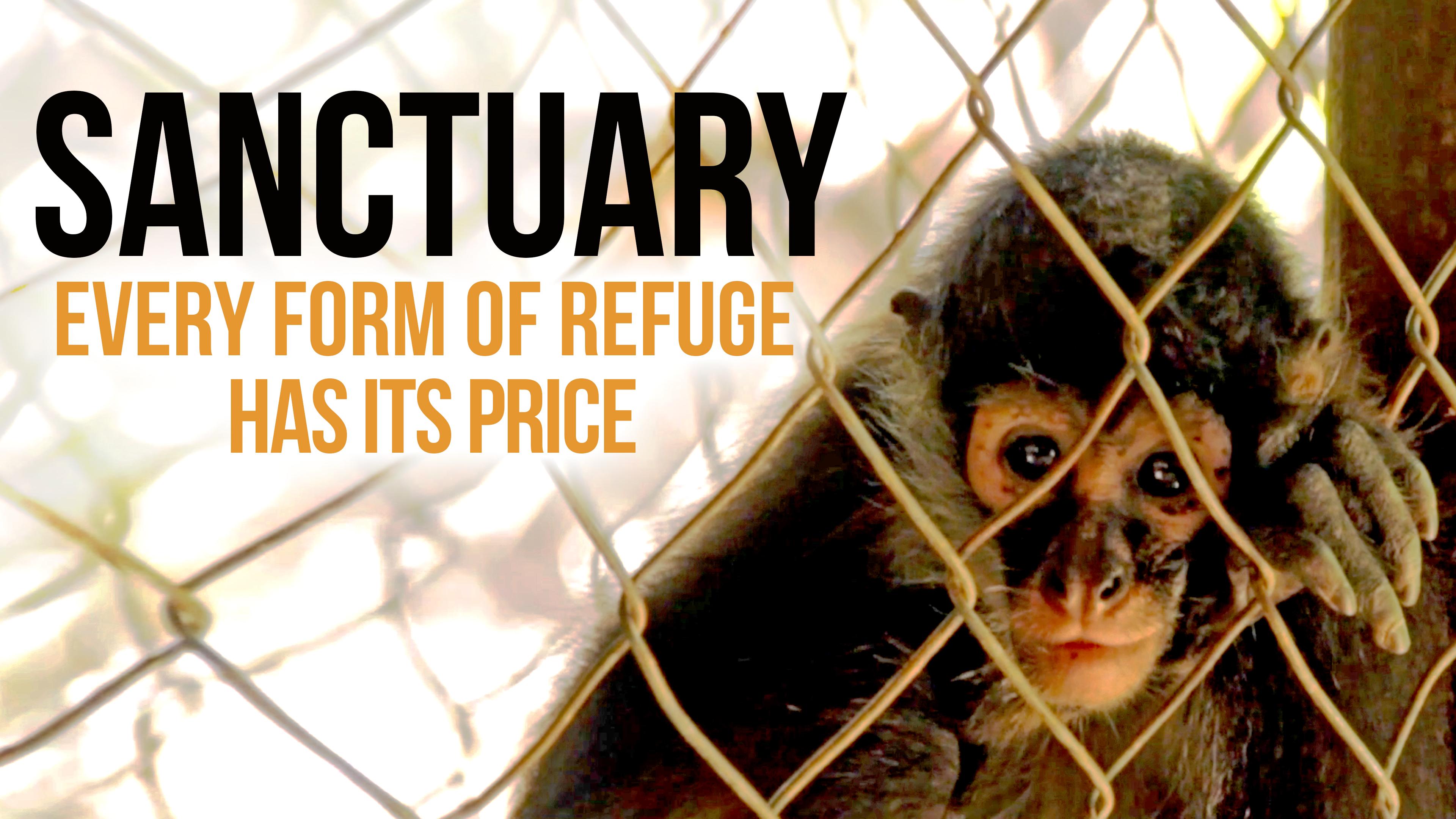 Sanctuary | Documentary Channel